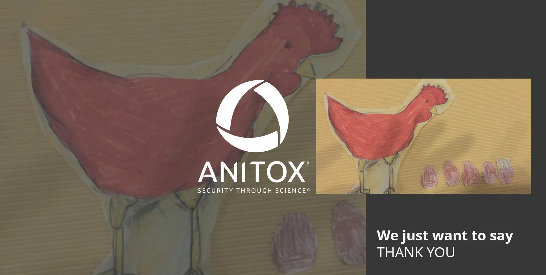 Thank you to the Anitox Artists | Anitox